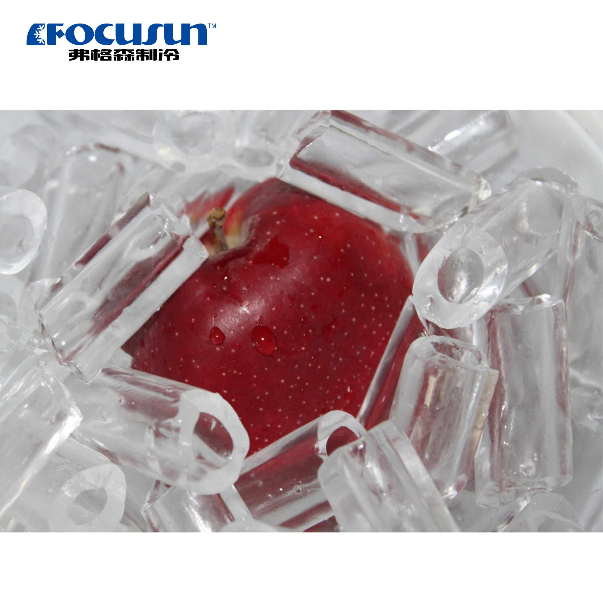Top Tube Ice Machines for Food & Beverage: Performance and Reliability ...